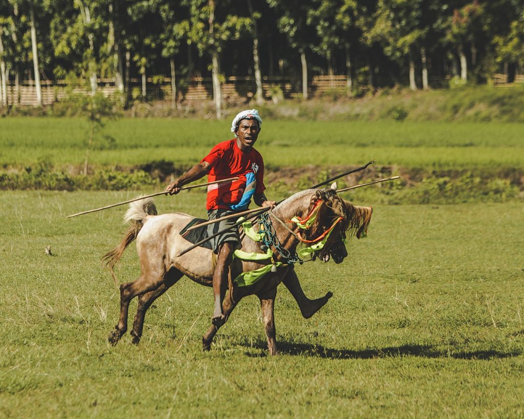 Sumba, Indonesia - the festival of Pasola.