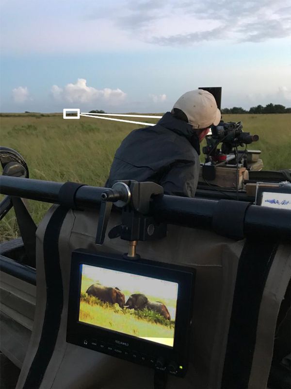 New and Innovative Technology is Enhancing the African Safari Experience