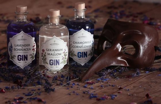 Old Curiosity Gin Tour