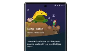 Improve your ZZZs with Fitbit Premium Sleep Profile