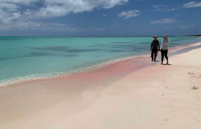 7 Most Instagrammable Spots in Antigua and Barbuda