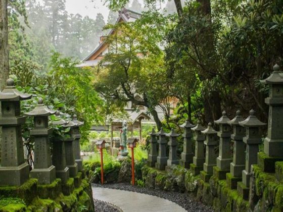 Travel to Japan Natural & Spiritual Highlights of Shikoku Island