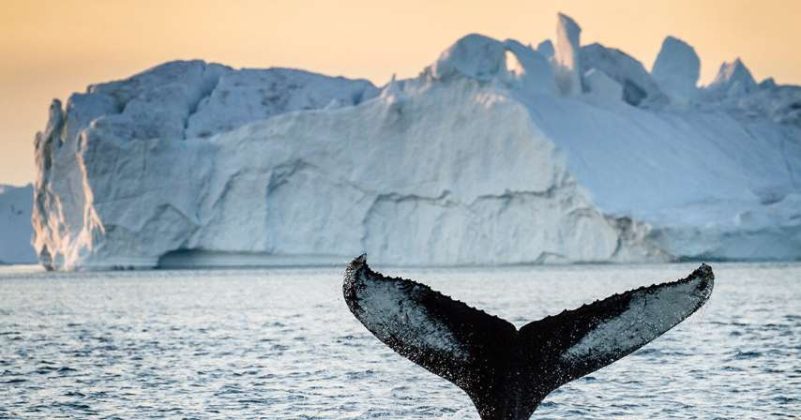 Explore the World's Last Great Frontier | Adventure Travel