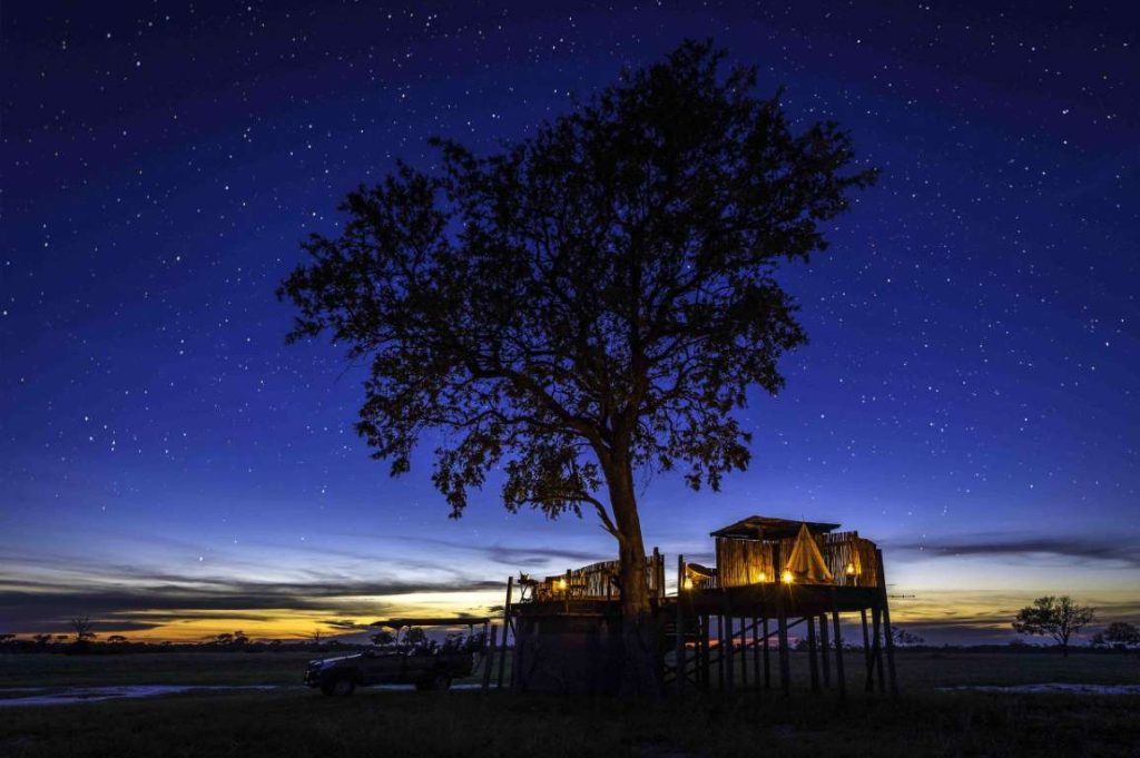 Get Ready for a Wild Night with Wilderness