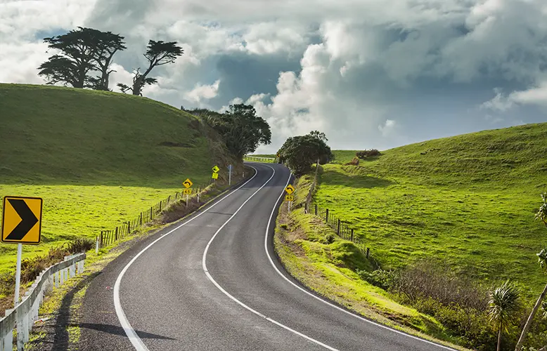 Unforgettable Journey: The Thrills of a New Zealand Road Trip