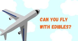 Can You Fly with Edibles? What's the Risk?