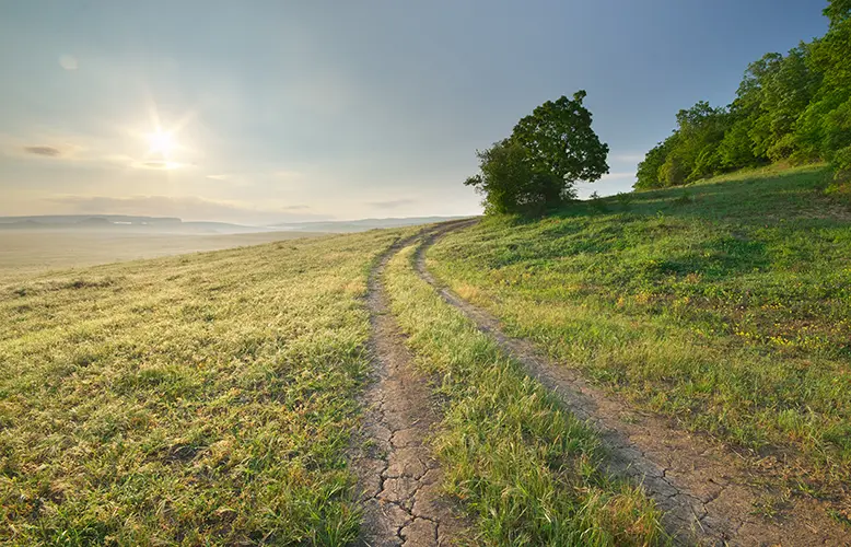 Painting the Path Less Traveled: Artistic Adventures in Remote Destinations