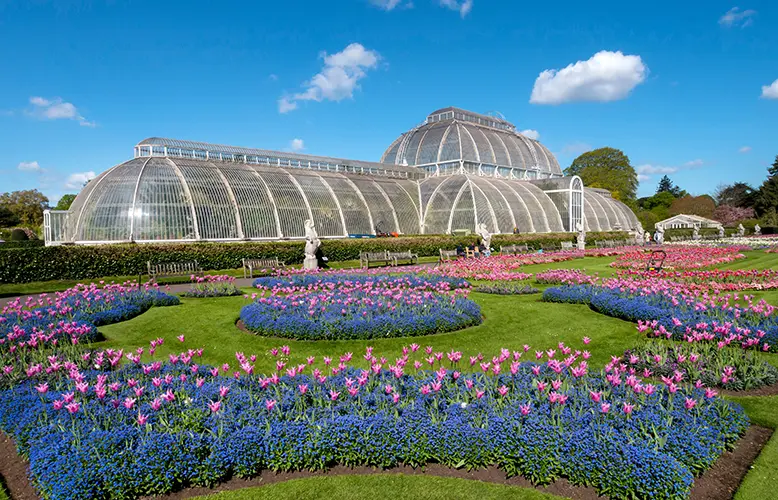 Spring Blooms: Exploring the World's Most Stunning Flower Spots