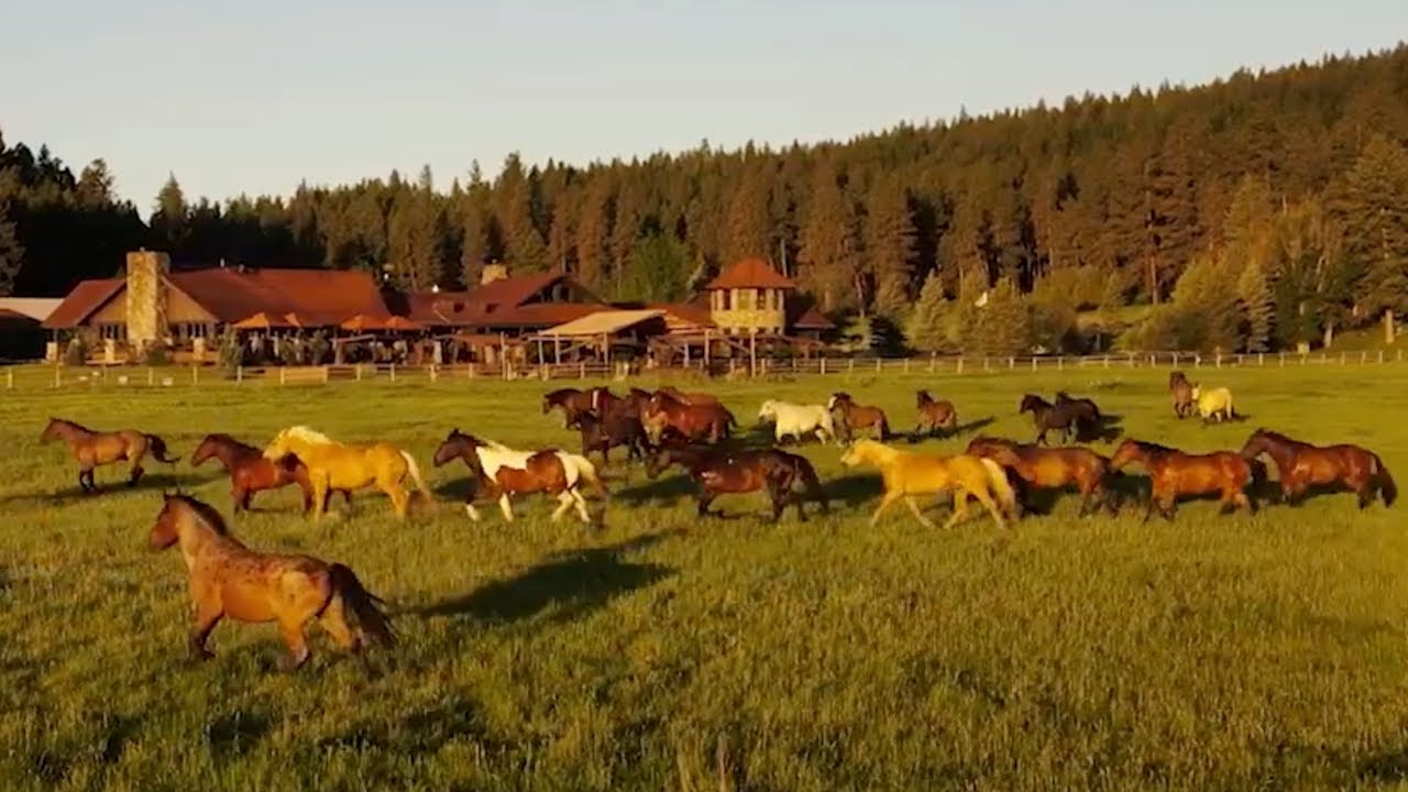 Discover Montana Luxury at The Resort at Paws Up