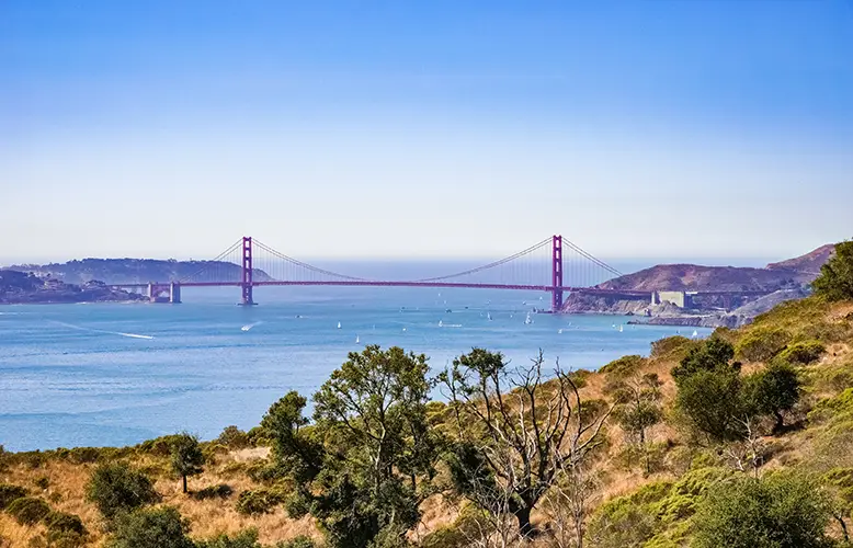 Experience the Thrill: Active Sports Adventures in San Francisco