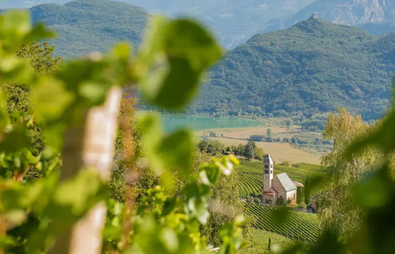Tramin, Italy: A Must-Visit Destination for Wine and Adventure Lovers