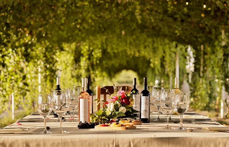 Ultra-Luxury Wine Experience with Grand Velas Boutique Los Cabos