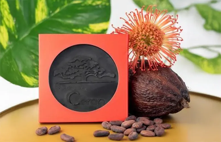 From Tree to Bar: The Chocolate That Is Martinique